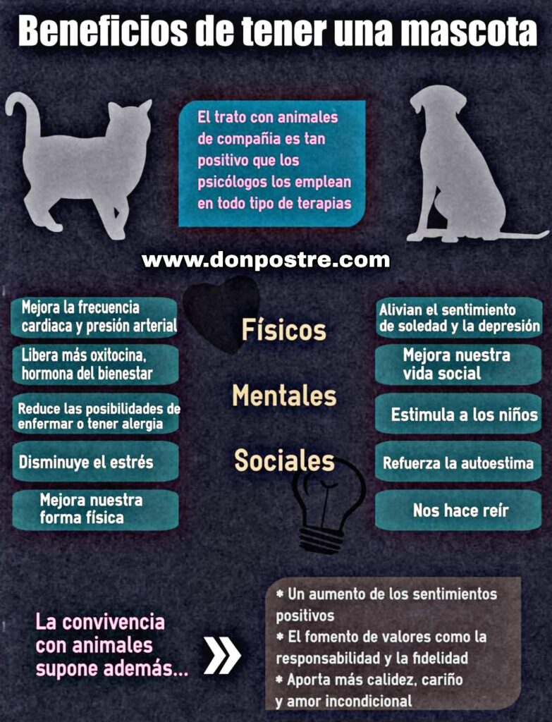 Don Postre » Blog Archive » Beneficios de tener una mascota