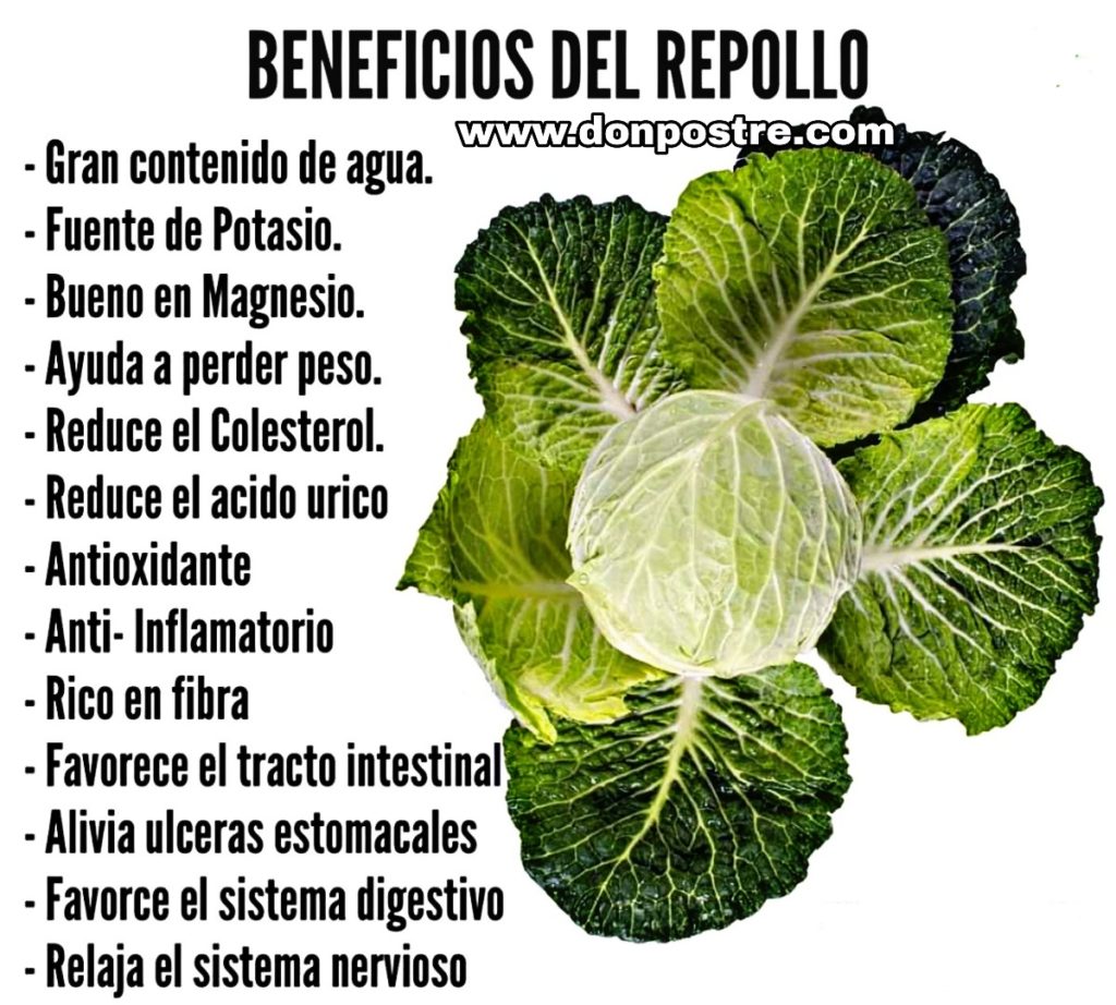 Don Postre » Blog Archive » beneficios del repollo