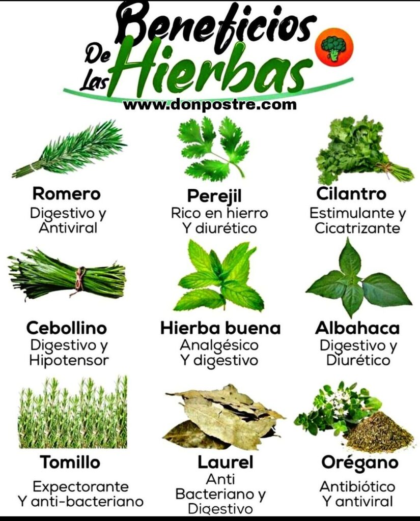 Don Postre » Hierbas Naturales-Fitoterapia-Plantas Medicinales-Remedios ...