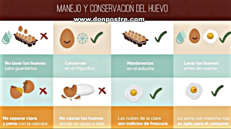 Don Postre » Blog Archive » manejo y conservacion del huevo